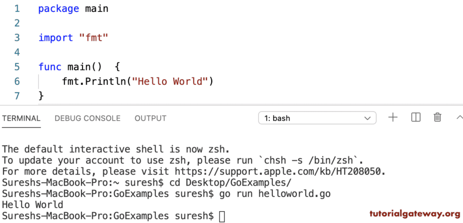 Golang Hello World Program