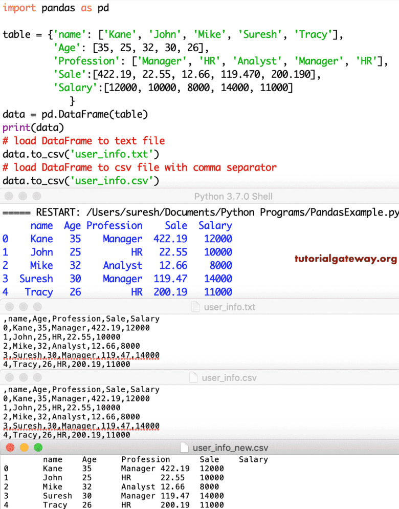 Python Pandas DataFrame